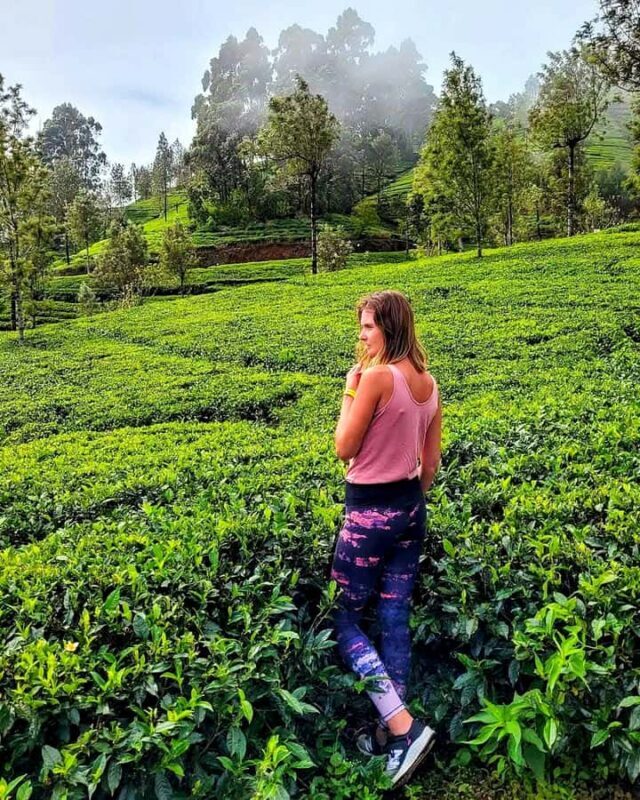 Trip from Kandy to Ambewela Railway Station via Nuwara Eliya - Who Should Take This Tour?