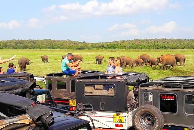 trip sri lanka (10 Days , 9 Nights) with driver, vehicle and H/B accommodations - How the Price Reflects the Experience