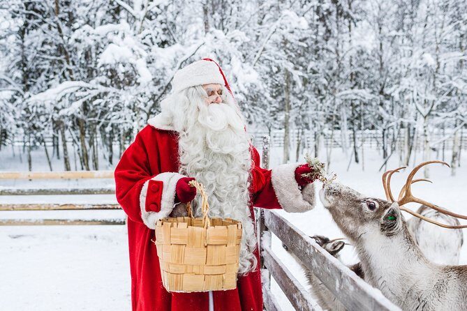 Trip to Arctic Circle, Santa Claus Village and Santas Reindeer - Exploring the Arctic Circle and Santa Claus Village: What to Expect