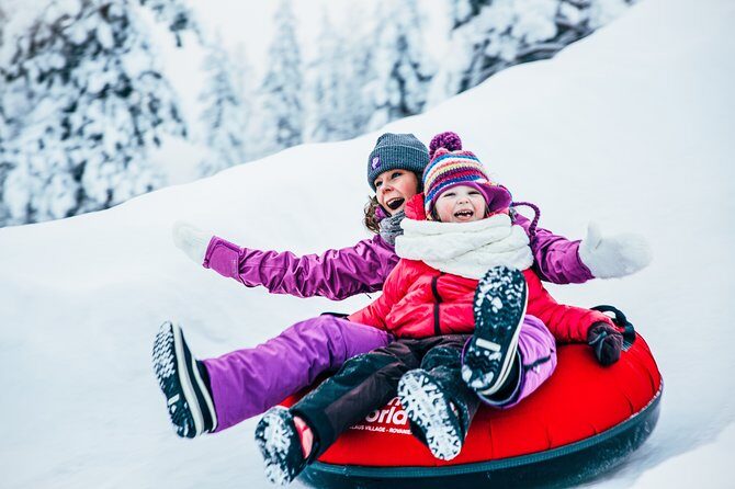 Trip to Arctic Circle, Santa Claus Village and Santas Reindeer - Our Take: Does this Tour Offer Good Value?