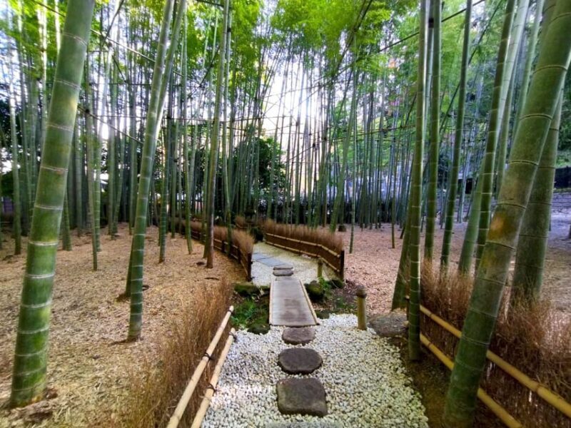 Trip to Kamakura & Enoshima: Shrines, Seaside, Temples &Tea - Discovering Kamakuras Historic Heart: Shirahata Shrine & Kōtoku-in