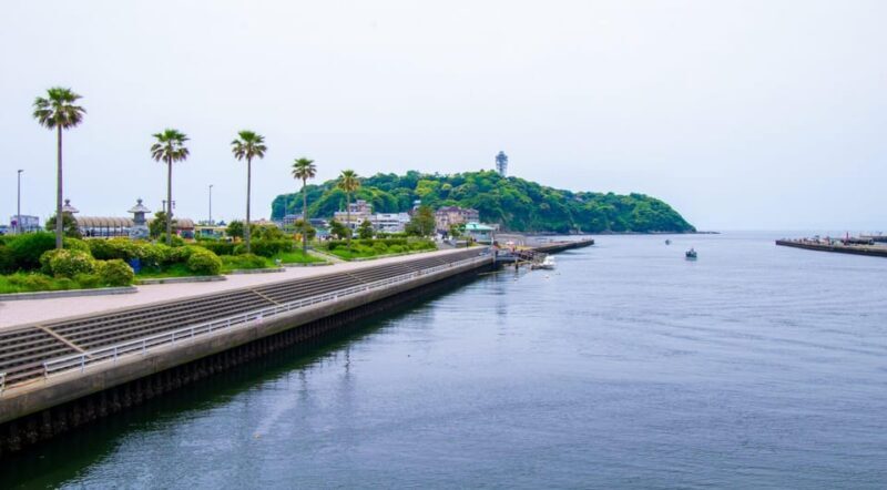 Trip to Kamakura & Enoshima: Shrines, Seaside, Temples &Tea - Guides & Group Size