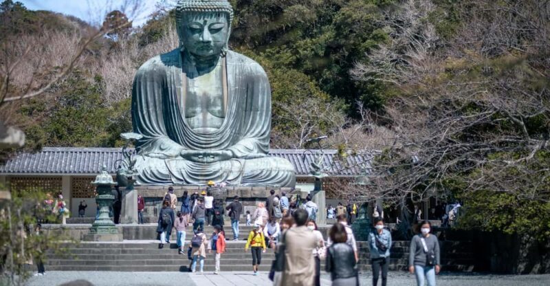 Trip to Kamakura & Enoshima: Shrines, Seaside, Temples &Tea - Flexibility & Practical Tips