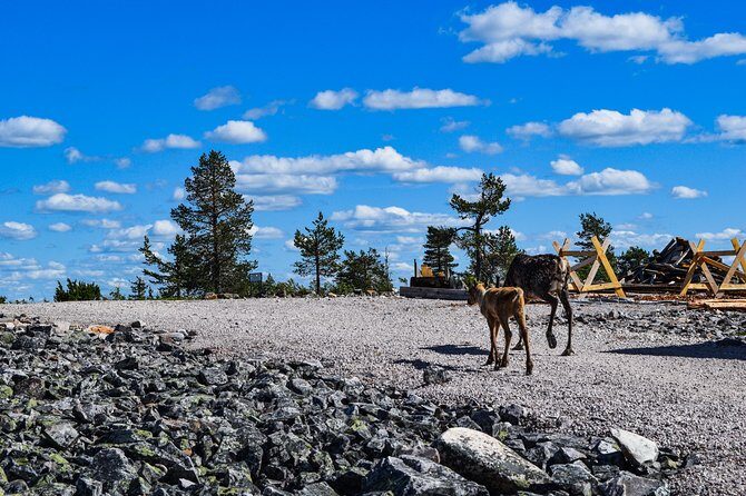 Trip to Pyhä-Luosto National Park and Amethyst Mine - The Experience on the Ground