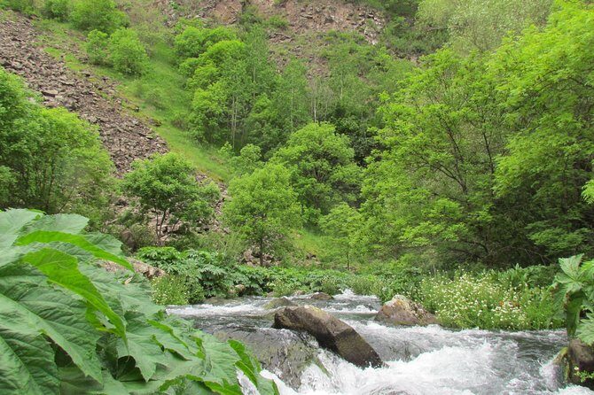 Trip to The Diamond Bridge and Dashbashi Canyon - Practical Aspects — What You Need To Know