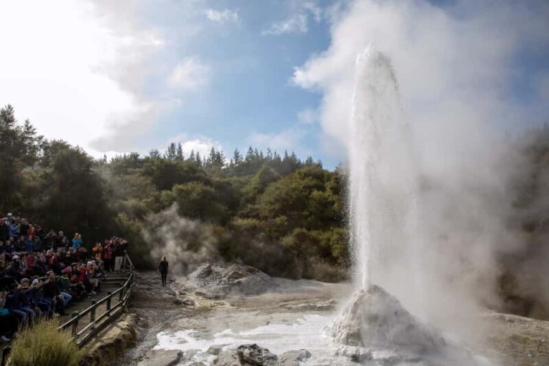 TRIPLE DEAL Wai-O-Tapu, Redwood & Blue Spring from Auckland - Key Points