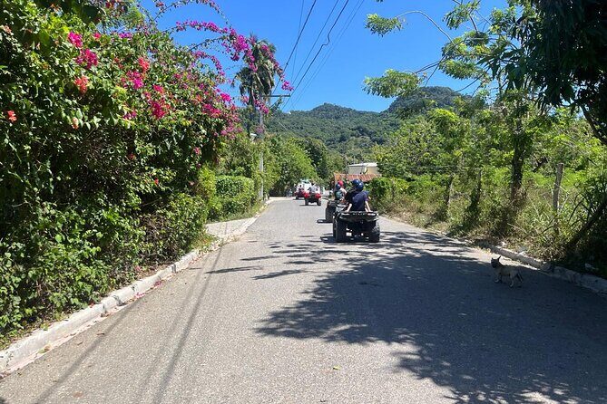 Triple Family Adventure - Waterfalls, Zipline & ATV Tour w/ Lunch - Who Should Consider This Tour?