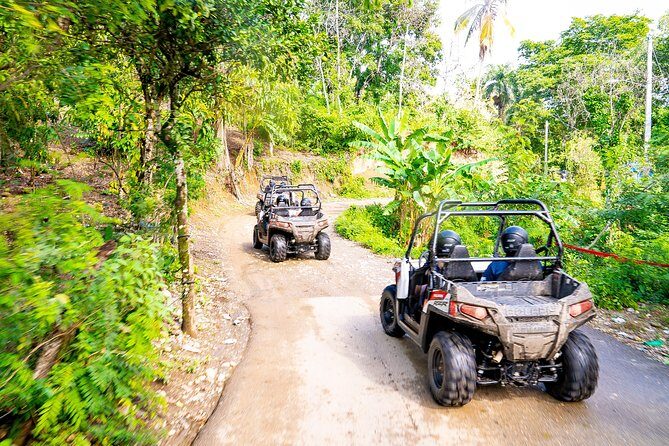 Triple fun! Monkeyland + Damajagua Waterfalls + Buggies from Puerto Plata - The Value of This Tour