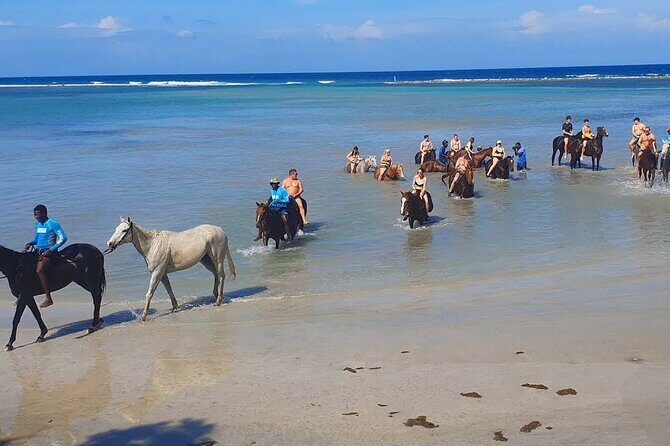 Tripple Play: Green Grotto Cave Horseback Riding and River Tubing - FAQ