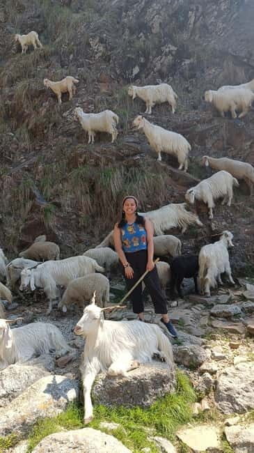 Triund Day hike | Alt 2870 Mtr - Key Points