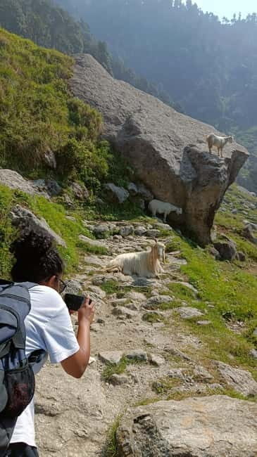 Triund Day hike | Alt 2870 Mtr - The Practical Side: Cost, Duration, and Tips