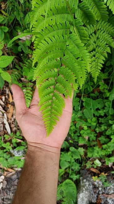 Triund Day hike | Alt 2870 Mtr - Final Thoughts