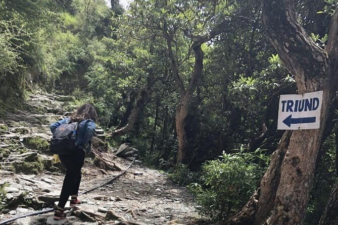 Triund Trek - Introduction: Why This Trek Might Be Your Next Himalayan Escape