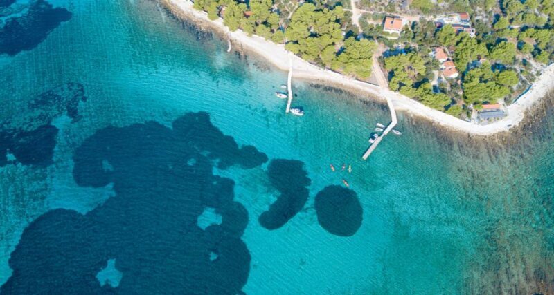 Trogir: Blue Lagoon, Maslinica, and Solinska Bay Boat Tour - Who Will Love This Tour?