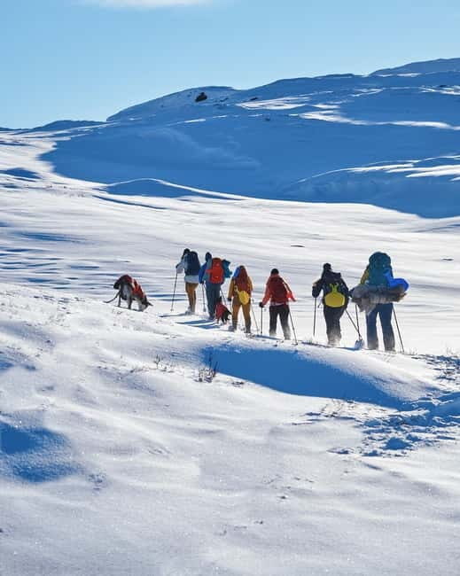 Trolltunga Day Hike - The Practical Side: Logistics, Gear, and Comfort