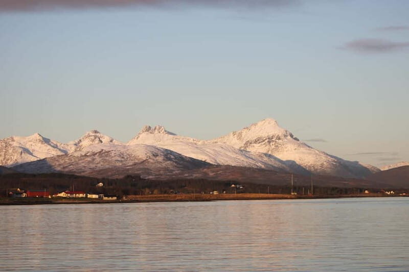 Tromsø: 2-Hour Island Tour Cruise with Snacks and Drinks - Snacks, Drinks, and Comfort