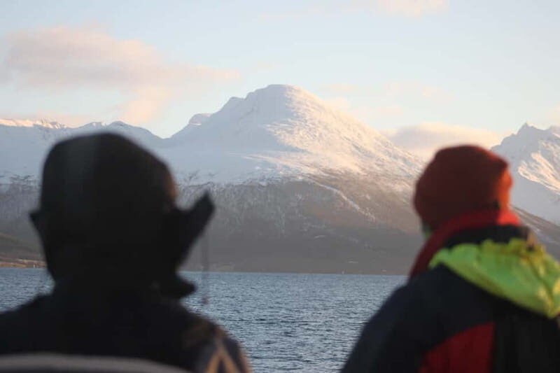 Tromsø: 2-Hour Island Tour Cruise with Snacks and Drinks - Final Thoughts
