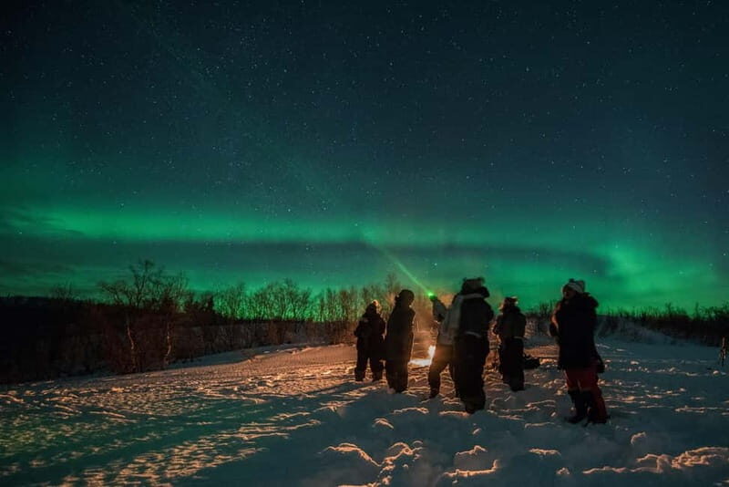 Tromsø: Adult Only Aurora hunt with Citizen Science - Key Points