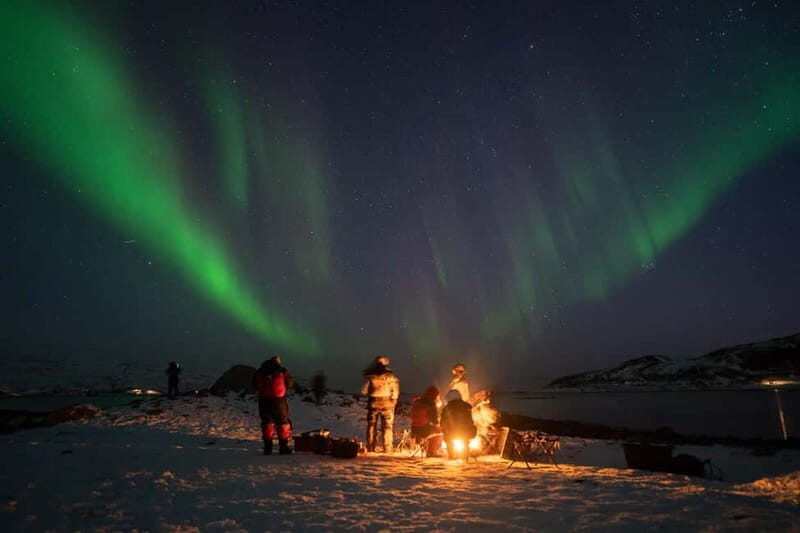 Tromsø: Adult Only Aurora hunt with Citizen Science - Travel Considerations: Price, Duration, and Group Size