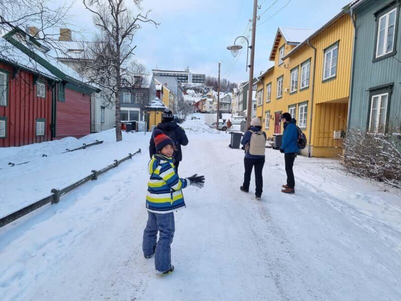 Tromsø: Arctic Cathedral and City Walking Tour - What Travelers Are Saying