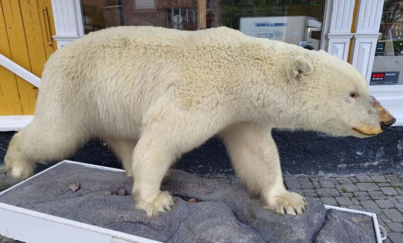 Tromsø: Arctic Cathedral and City Walking Tour - The Sum Up