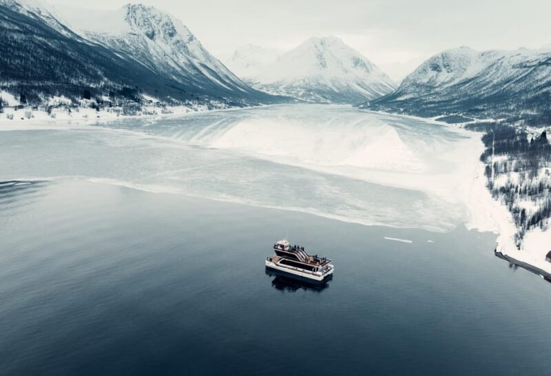 Tromsø: Arctic Fjord Cruise With Stop On Land At Fish Racks - Key Points
