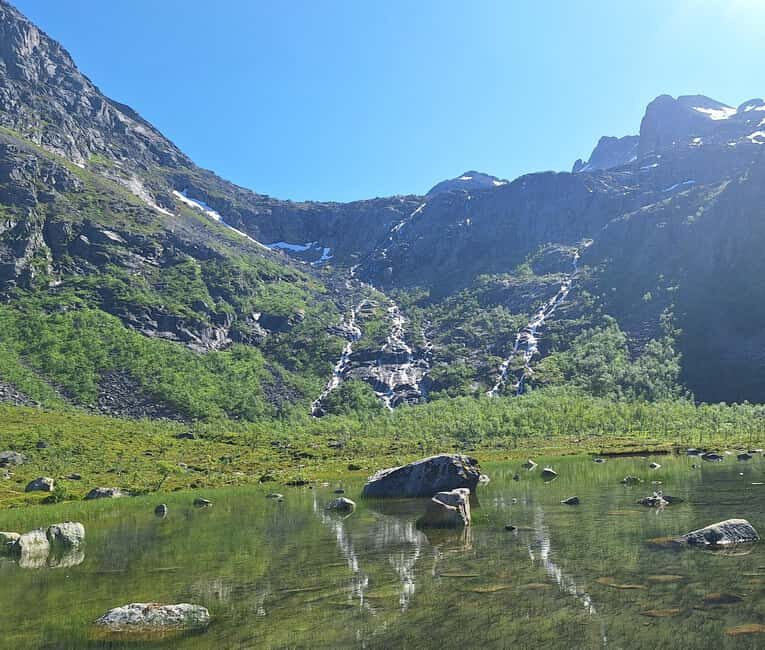 Tromso: Arctic Fjord & Nature Tour - Pricing and Value