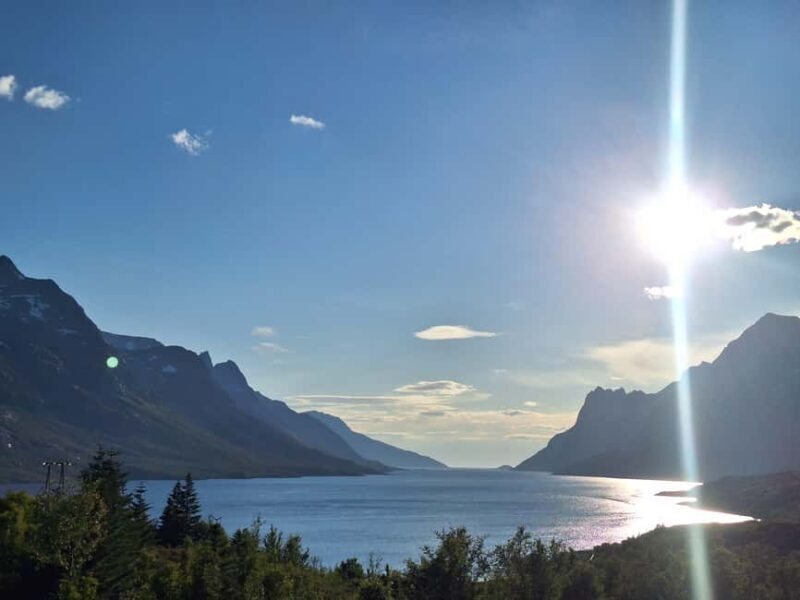 Tromso: Arctic Fjord & Nature Tour - Authenticity and Personal Touches