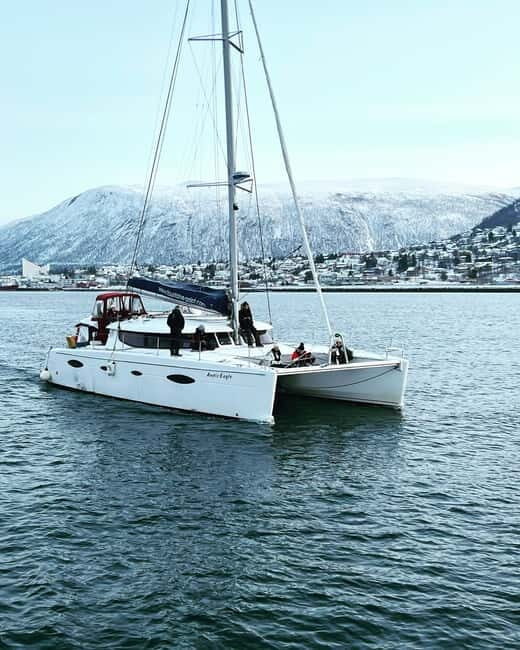 Tromsø: Arctic Fjord Sightseeing Cruise in Luxury Catamaran - A Closer Look at the Arctic Fjord Cruise in Tromsø