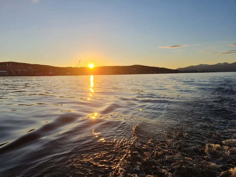 Tromsø: Arctic Fjord Sightseeing Cruise in Luxury Catamaran - FAQ
