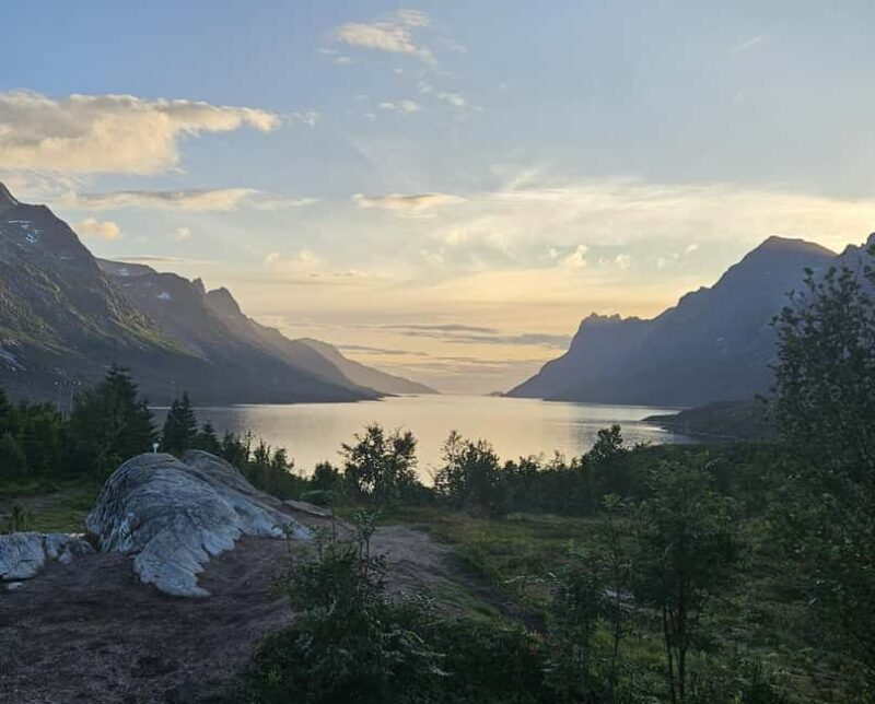 Tromsø: Arctic Fjords Tour. Sommerøya and Kvaløya with Lunch - An In-Depth Look at the Arctic Fjords Tour