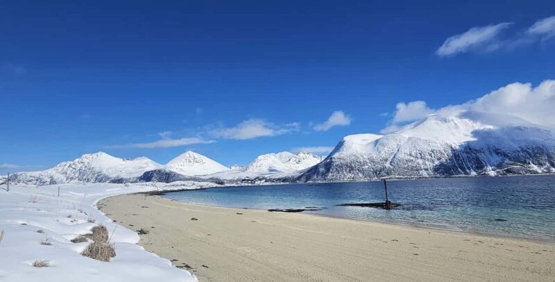 Tromsø: Arctic Fjords Tour. Sommerøya and Kvaløya with Lunch - The Practical Side: Price and Value