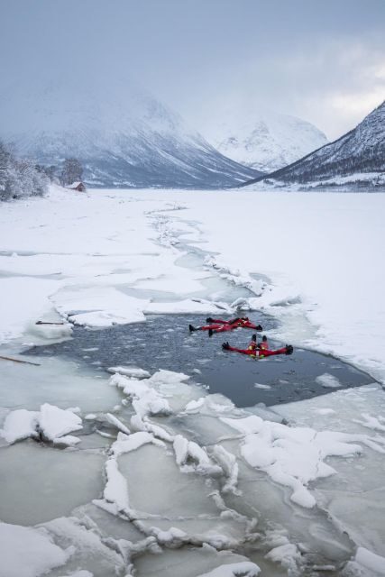 Tromsø: Arctic Floating with Snacks and Drinks - The Experience: What It’s Really Like