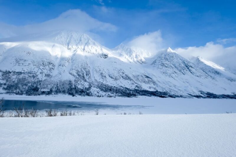 Tromsø: Arctic Landscape and Fjord Tour with Snacks - Key Points