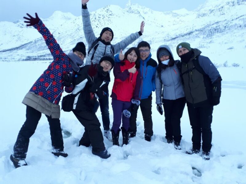 Tromsø: Arctic Landscape and Fjord Tour with Snacks - The Sum Up