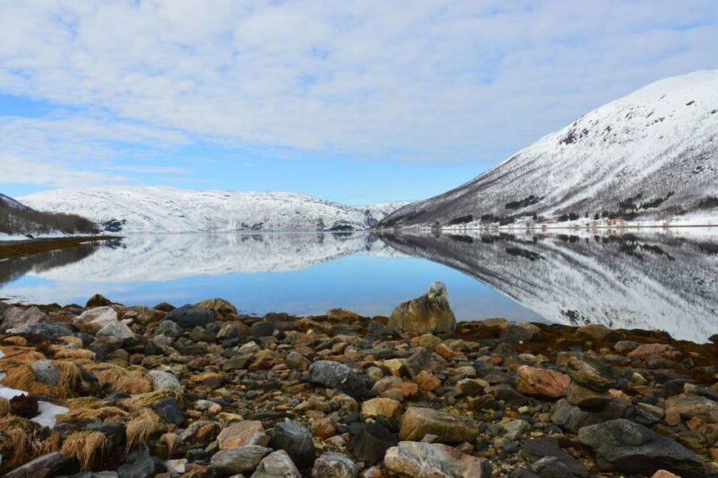 Tromsø: Arctic Landscape and Fjord Tour with Snacks - Frequently Asked Questions