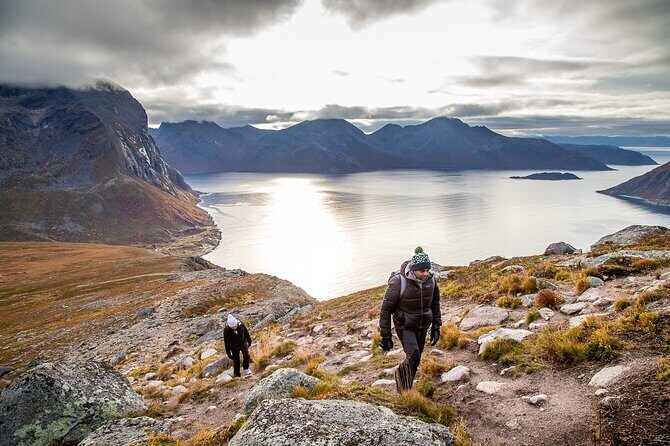 Tromsø: Arctic Landscapes Hiking / Snowshoeing Tour in the wild - Logistics & Practical Details
