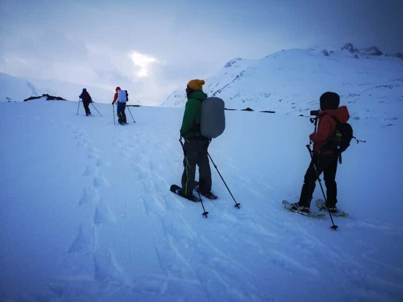 Tromsø: Arctic Snowshoeing Experience - Exploring the Itinerary and Experience in Detail
