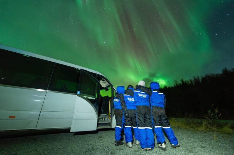 Tromsø: Aurora Borealis, Campfire, Hot Meal, Arctic Tour - First Impressions and What to Expect