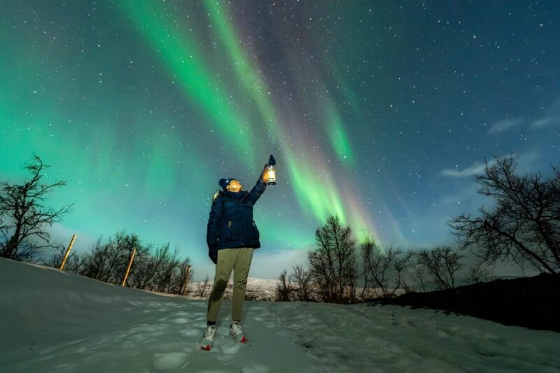 Tromsø: Aurora Borealis, Campfire, Hot Meal, Arctic Tour - Watching for the Aurora