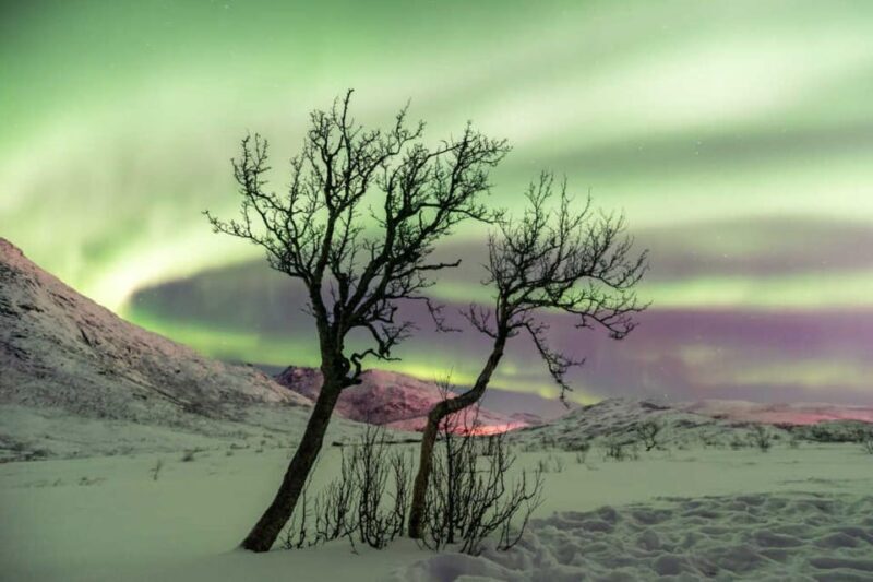 Tromso: Aurora Borealis Chase Tour up to Finland - Who Should Consider This Tour?
