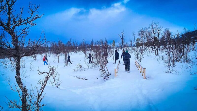Tromsø: Aurora Crystal Lavvo Overnight Stay with Activities - Final Thoughts