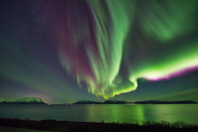 Tromsø: Aurora Crystal Lavvo Overnight Stay with Activities - The Bottom Line