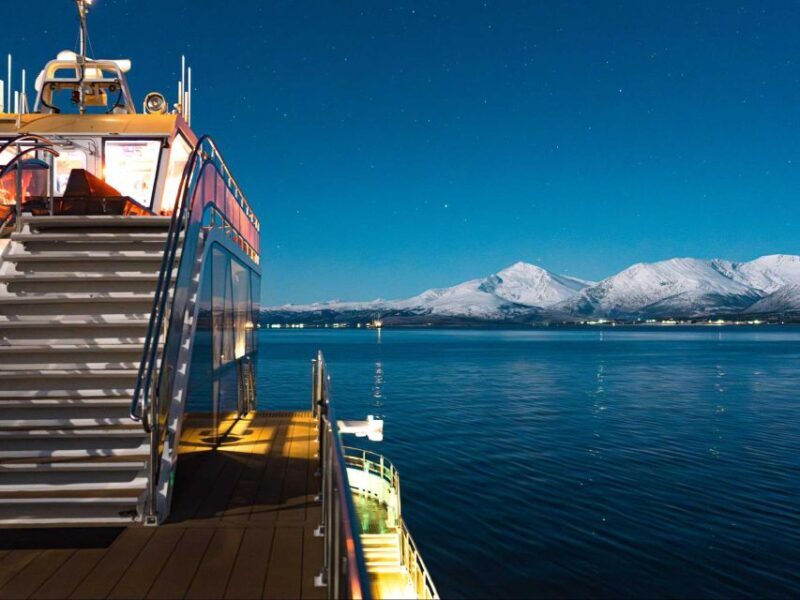 Tromsø: Aurora Dinner Cruise by Hybrid-Electric Catamaran - Key Points