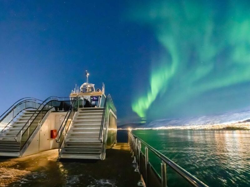 Tromsø: Aurora Dinner Cruise by Hybrid-Electric Catamaran - Diving Deep: The Experience and What You Can Expect