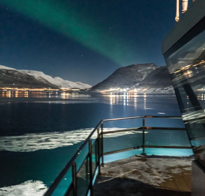 Tromsø: Aurora Dinner Cruise by Hybrid-Electric Catamaran - Practicalities for Travelers
