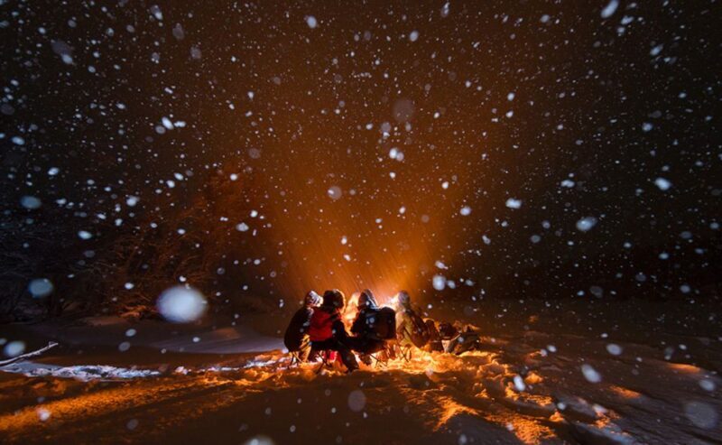 Tromsø: Aurora Hunt with Citizen Science - Who Should Consider This Tour?