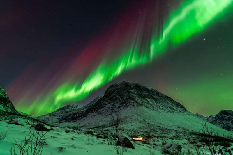 Tromsø: Aurora Quest Luxury Car Experience 7-Hour Tour - Pricing and Value