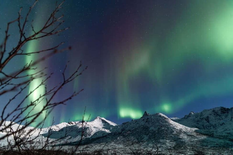 Tromsø: Aurora Quest small group Adventure - A Practical Overview of the Aurora Quest Experience