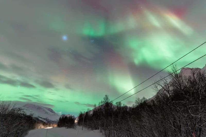 Tromsø: Aurora Quest small group Adventure - Ending the Night and Return to Tromsø